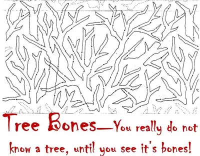 Tree Bones 11″ Interlocking – MeadowLyon Designs
